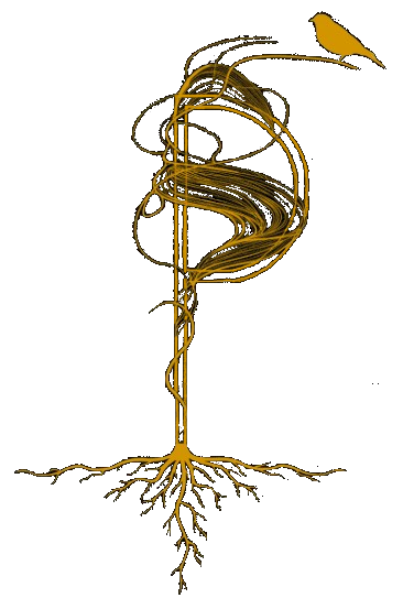 Shop All | The Perch Winery